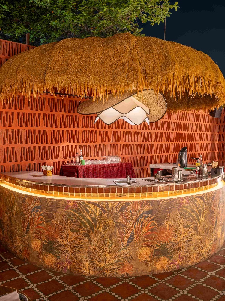 Only the “very cool” score an invite to Delhi’s first Aztec bar ...