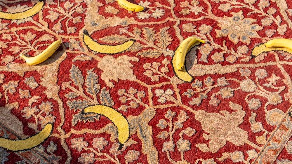 This Jaipur Rugs x Richard Hutten rug is bananas - The Nod Mag