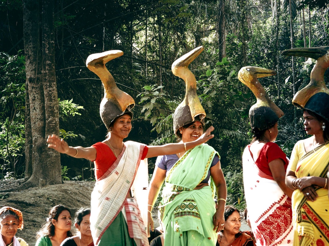 Meet the eco-feminist army saving giant storks or hargila, in Assam ...