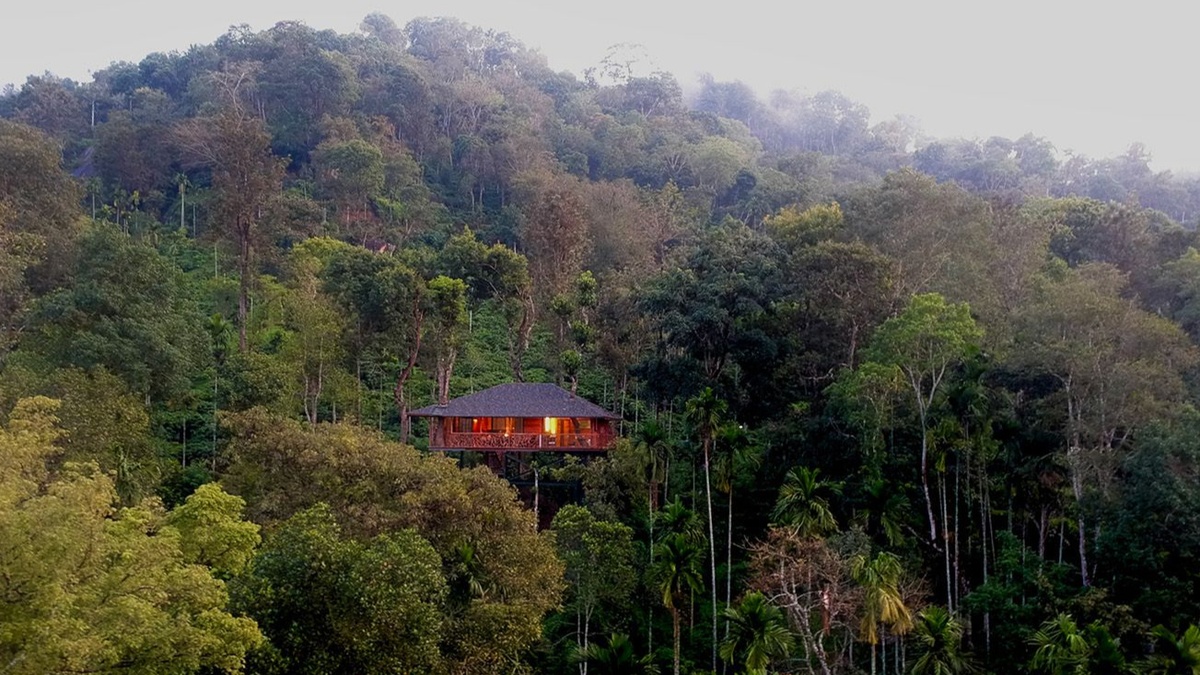 In Wayanad’s Tranquil Resort, get your own treehouse in nature - The ...